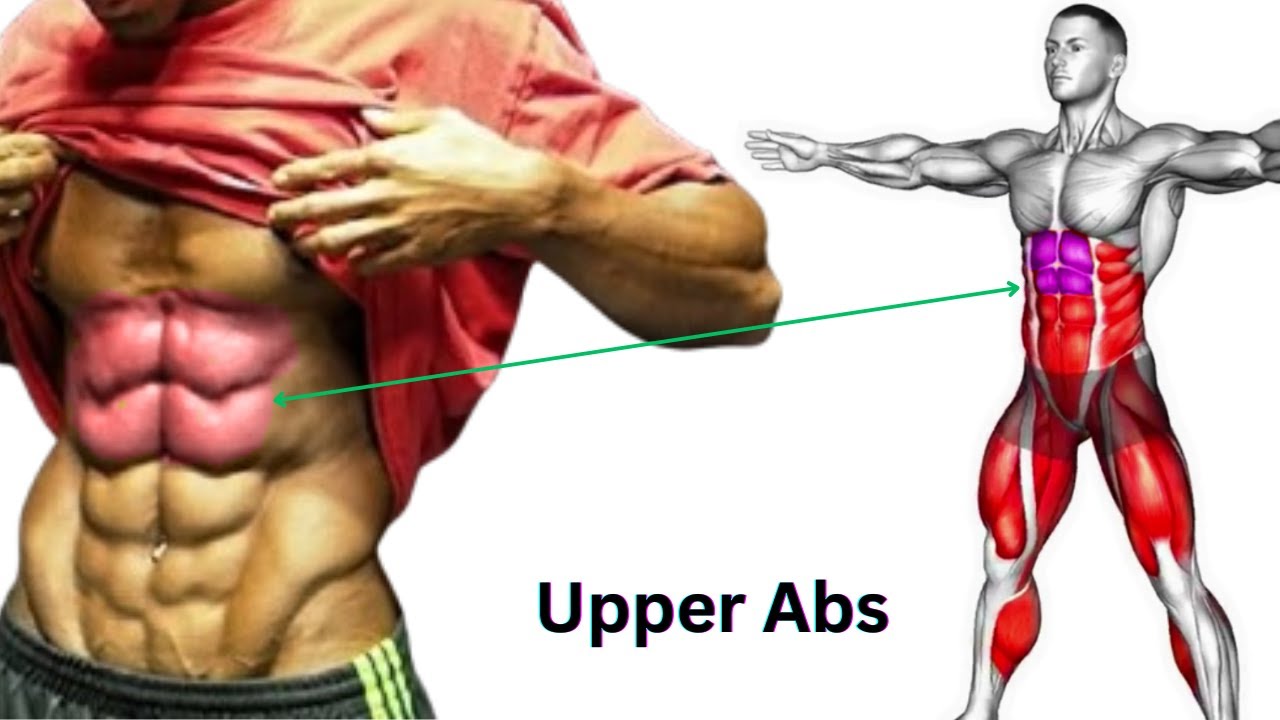 7 Best Upper Abs Exercises For Best Result (Upper Abs Workout) - YouTube