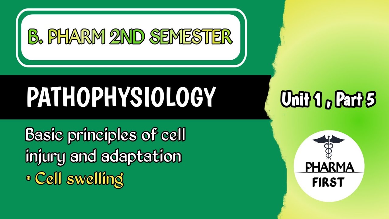 Cell swelling || Basic principles of cell injury and adaptation || b ...