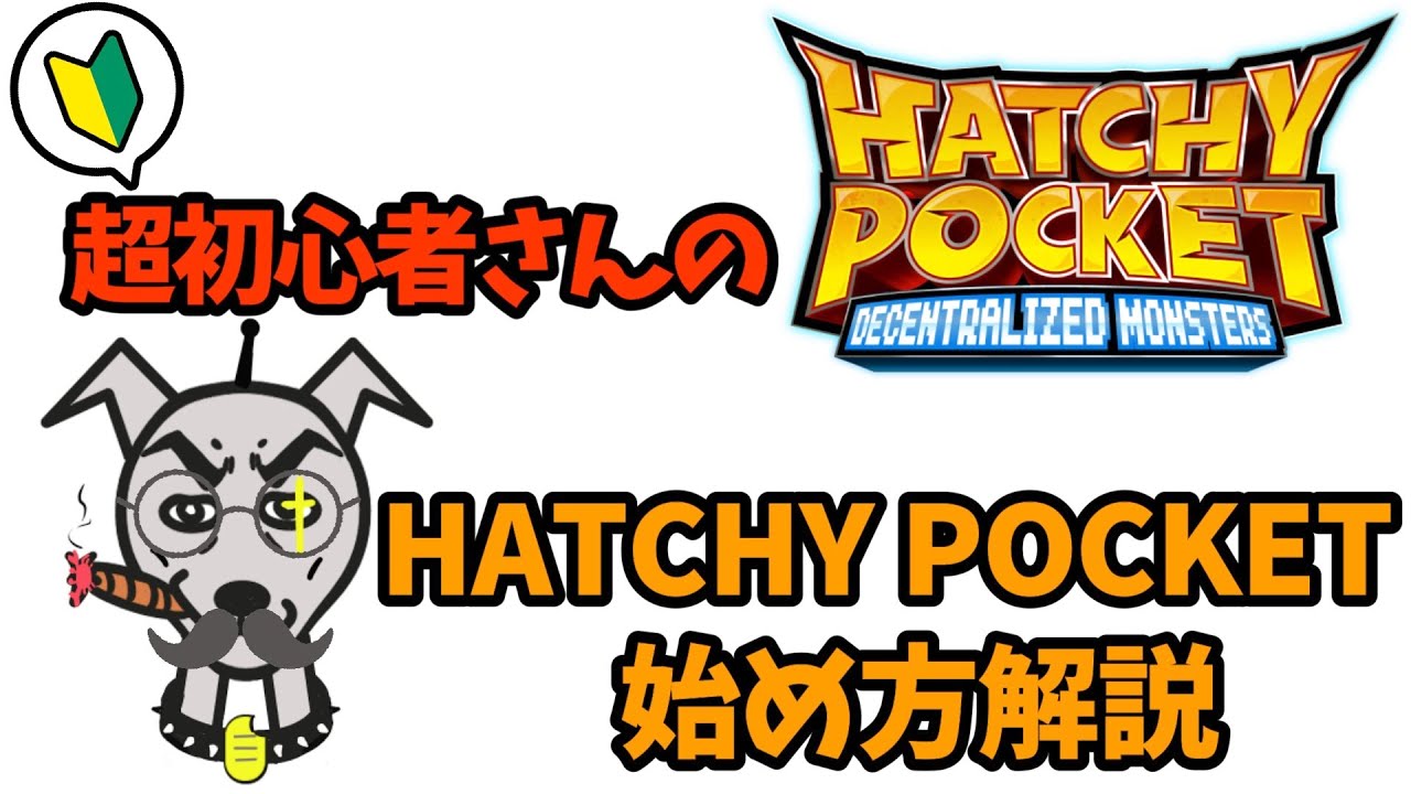 【超初心者さんシリーズ②】HATCHY POCKETウォレットの繋ぎ方、卵の買い方 #172 - YouTube