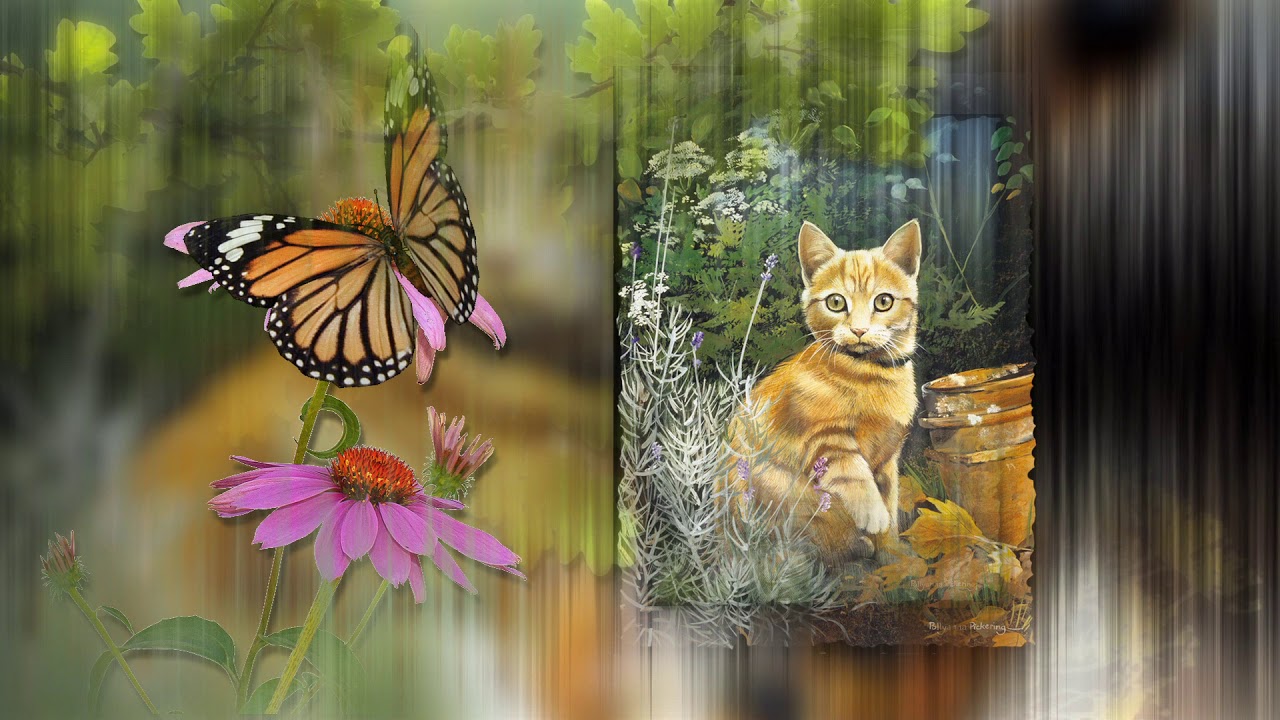 POLLYANNA PICKERING-PAINTER OF THE LIVING WORLD. - YouTube