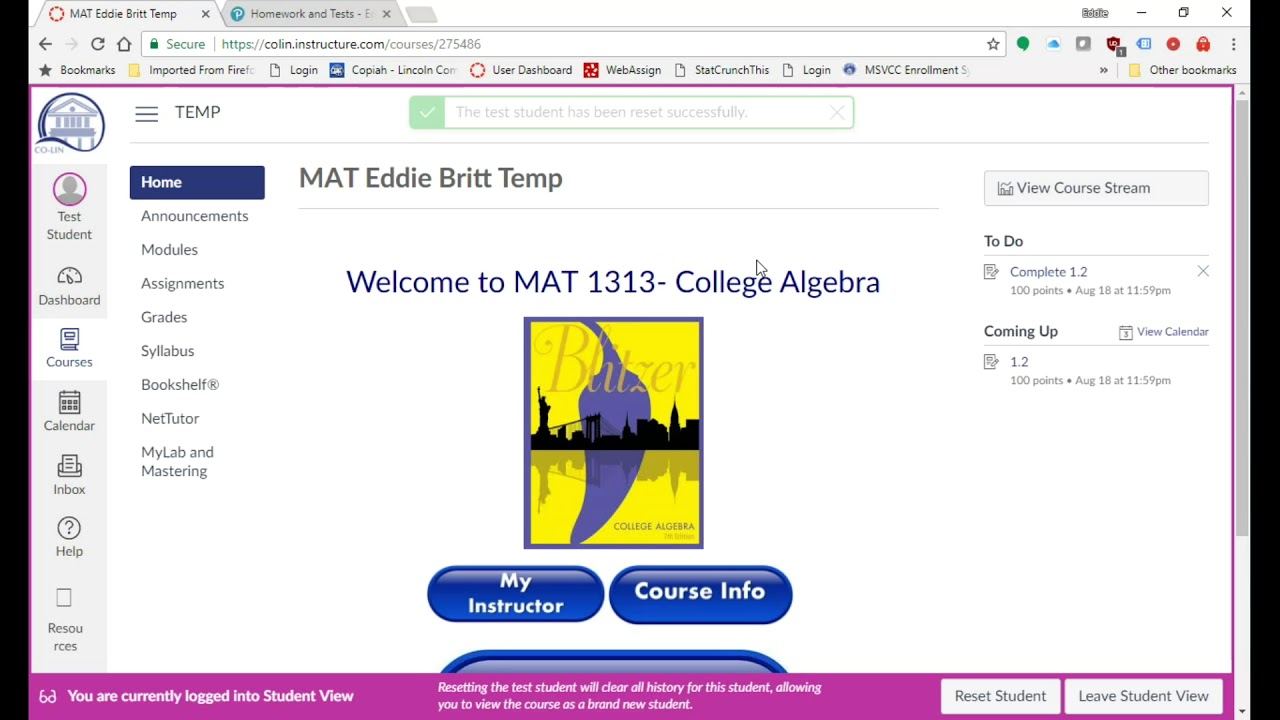 College Algebra Canvas Shell Setup - YouTube