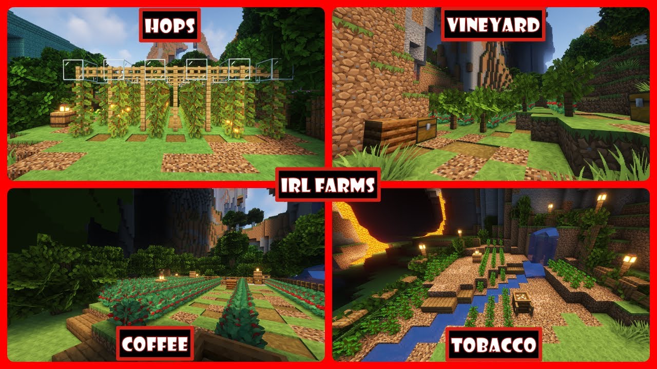 Minecraft IRL Farms | Hops,Coffee,Vineyard,Tobacco - YouTube