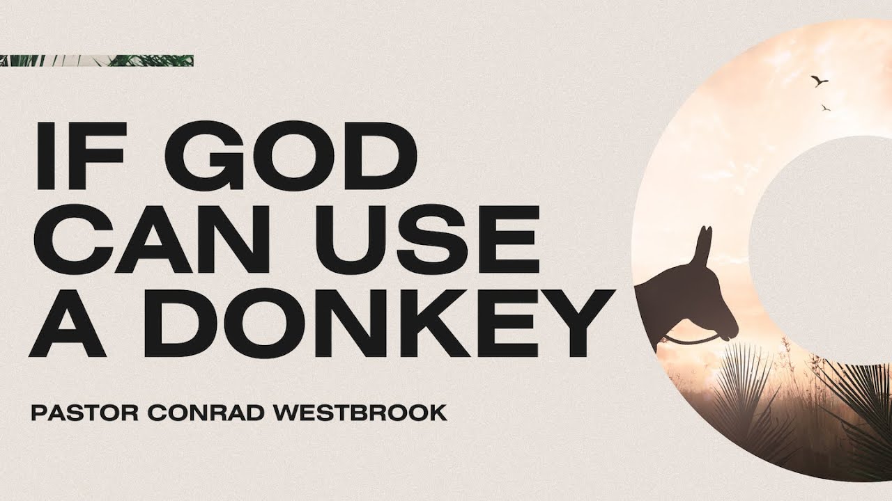 3-24-2024 Sermon (If God Can Use A Donkey) - YouTube