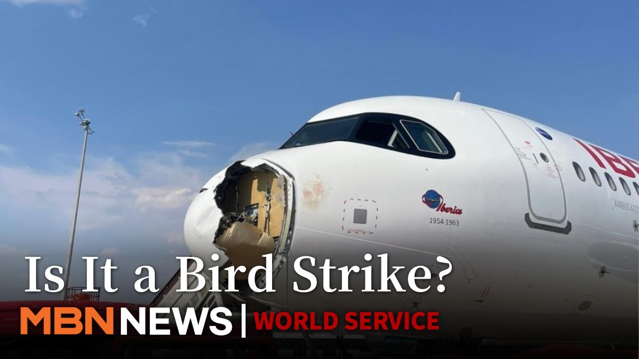 New Jet Suffers Violent Bird Strike Near Madrid - YouTube