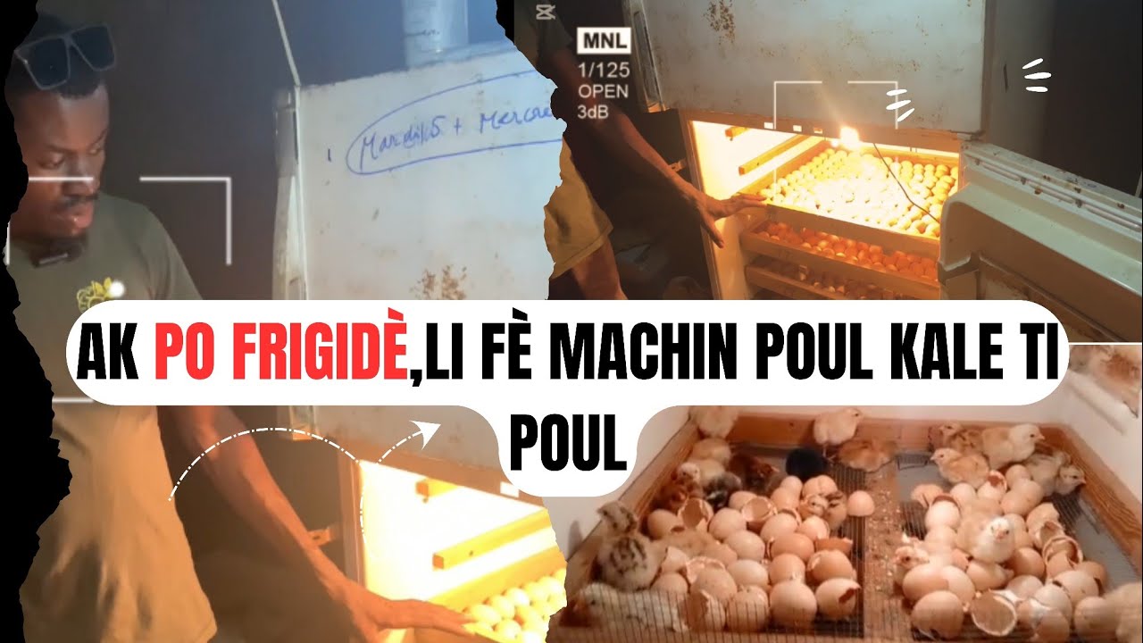 Ak po frijidè, jèn antreprenè sa, fè machin poul kale ti poul, gadon ...