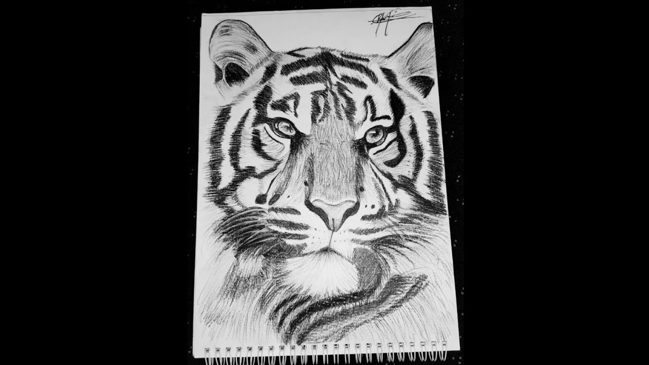 How to draw a tiger face 🐯 |easy | step by step | for beginners ...