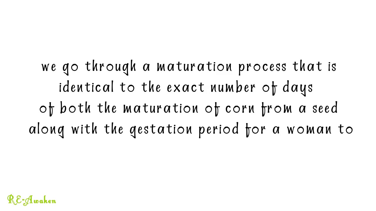 Process of birth, life, death and rebirth: EXPLAINED - YouTube