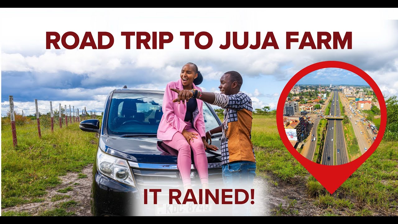 "Road Trip to Elite Bliss Juja Farm: A Journey Through Thriving ...