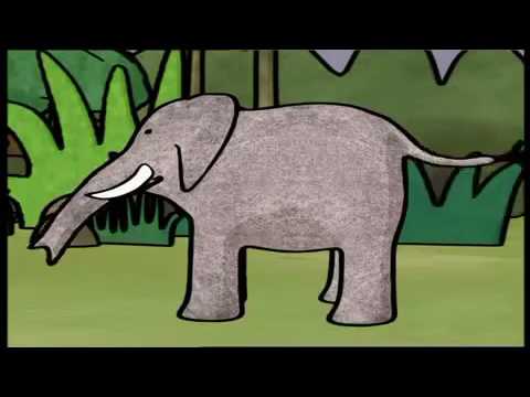Cbeebies Boo! Indian Jungle Kids Learning TV Shows Full Episode -kids ...
