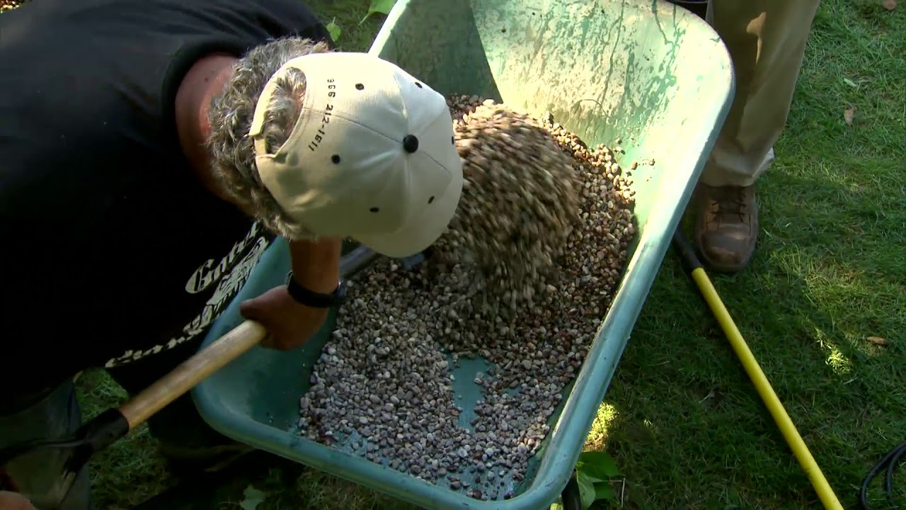 Gator Rock Bond - YouTube