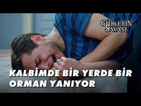 Cihan'ın Hikayesi Herkesi Perişan Etti - Güllerin Savaşı 48.Bölüm