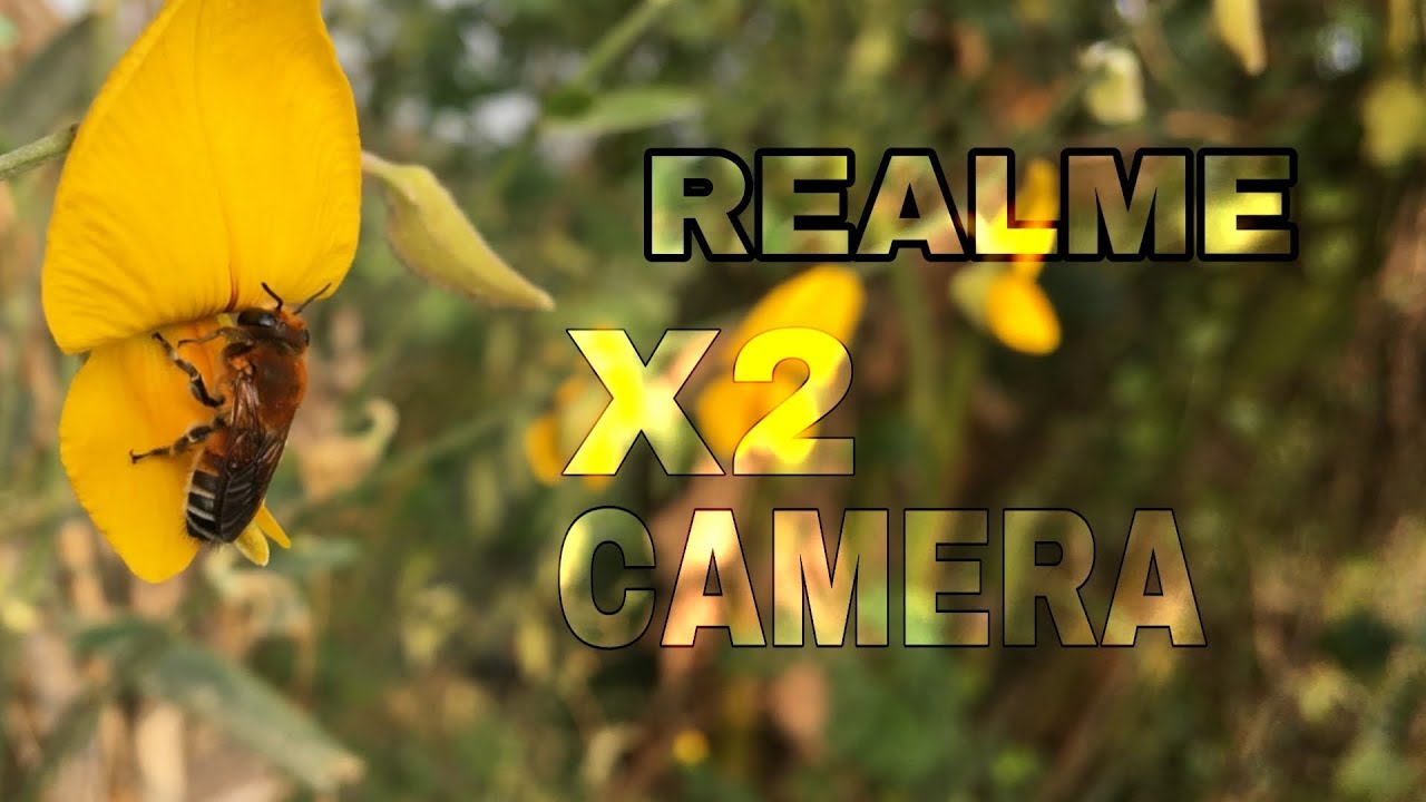 Realme x2 camera || realme x2|| realme x2 camera features || - YouTube