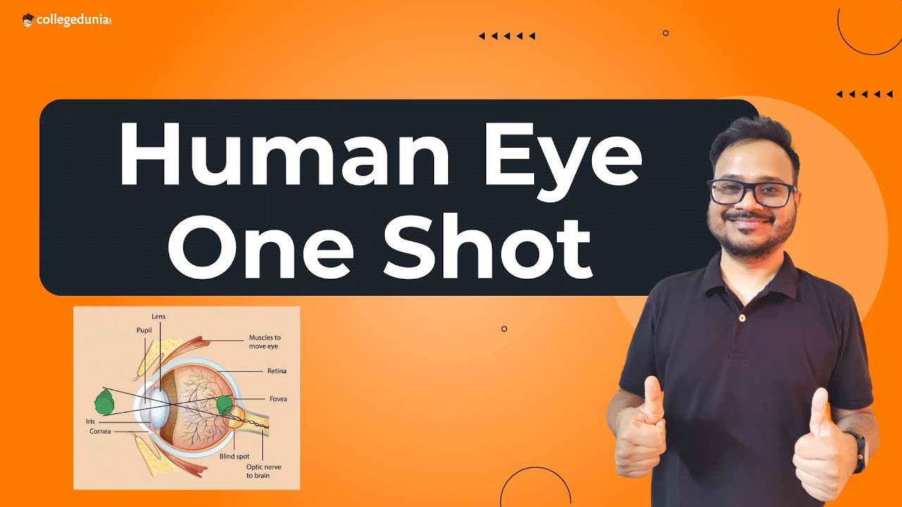 Human Eye One Shot | Class 10 Science | NCERT - YouTube