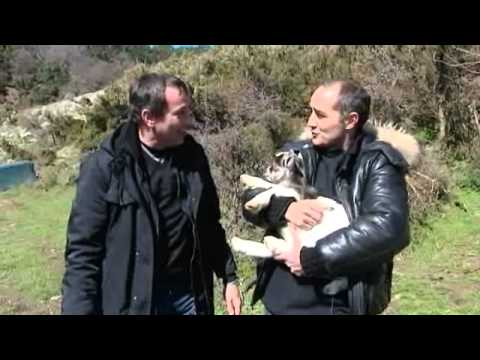 Portrait d'Eric Fraticelli par Yann Benard pour Fora di Strada - YouTube