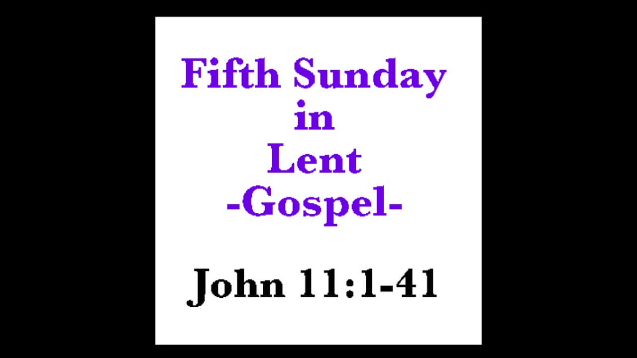 John 11 1 45 YouTube