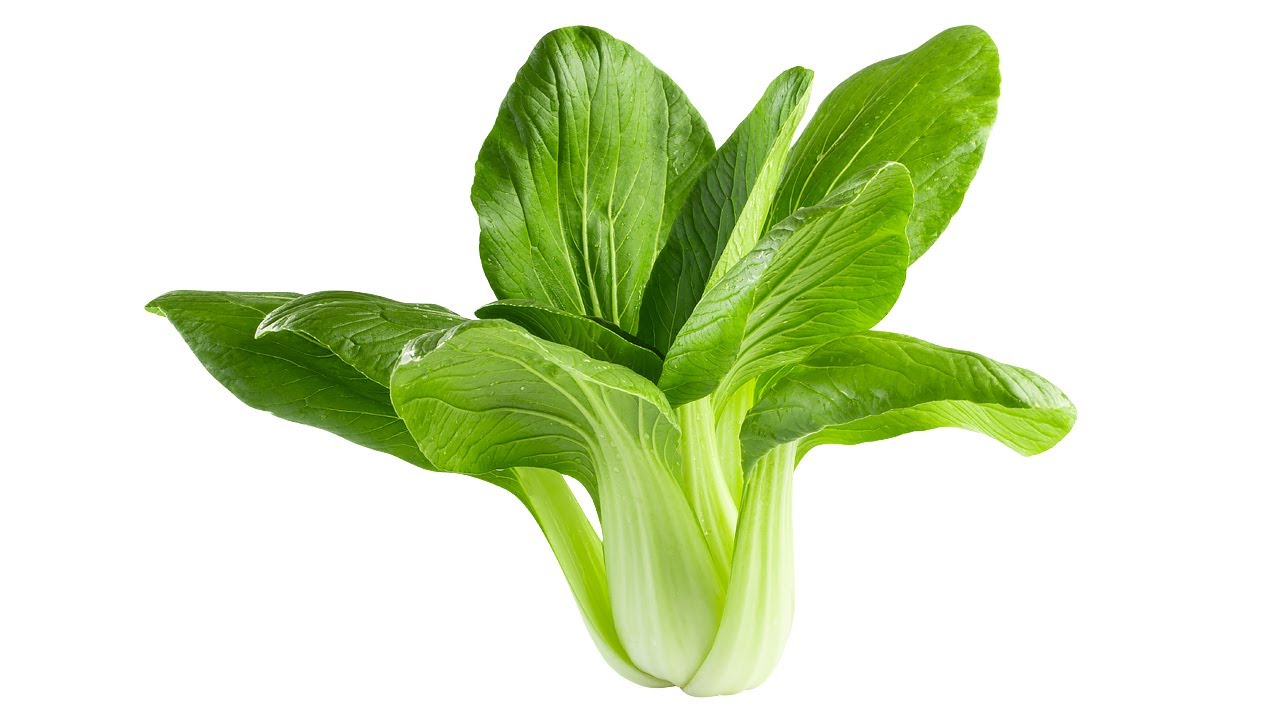 Pan Tool & Spot Healing Brush Tool. - YouTube