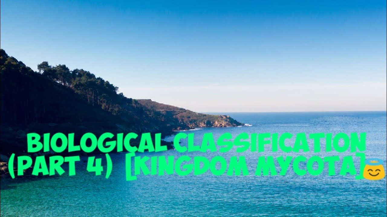 BIOLOGICAL CLASSIFICATION (PART 4) [kingdom mycota]😇 - YouTube