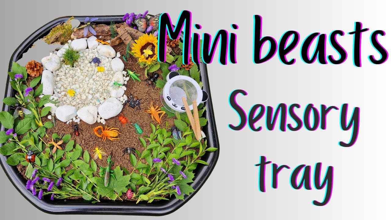 Mini beasts Mini creatures Hunt and Explore tuff tray Messy play ...