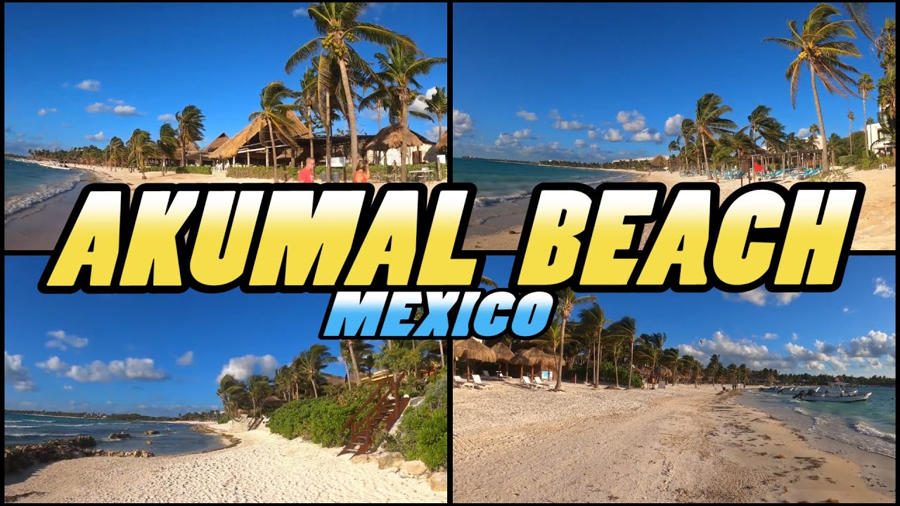 Playa AKUMAL BEACH Walking Tour - Mexico (4k) - YouTube