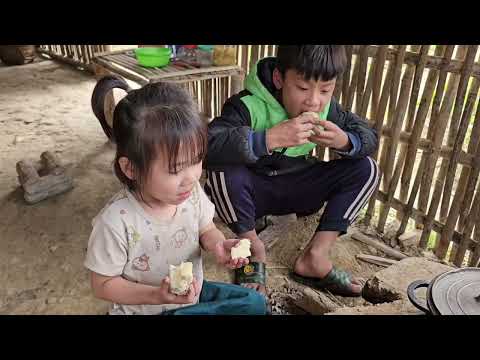 FULL VIDEO 60 days of Hoang Dat and his 4 children - YouTube