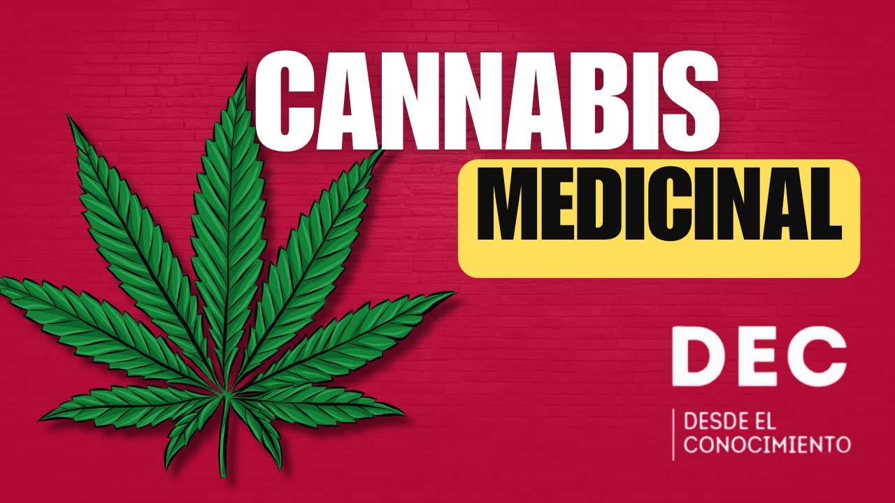 Cannabis medicinal: cuando la evidencia mata el relato - YouTube