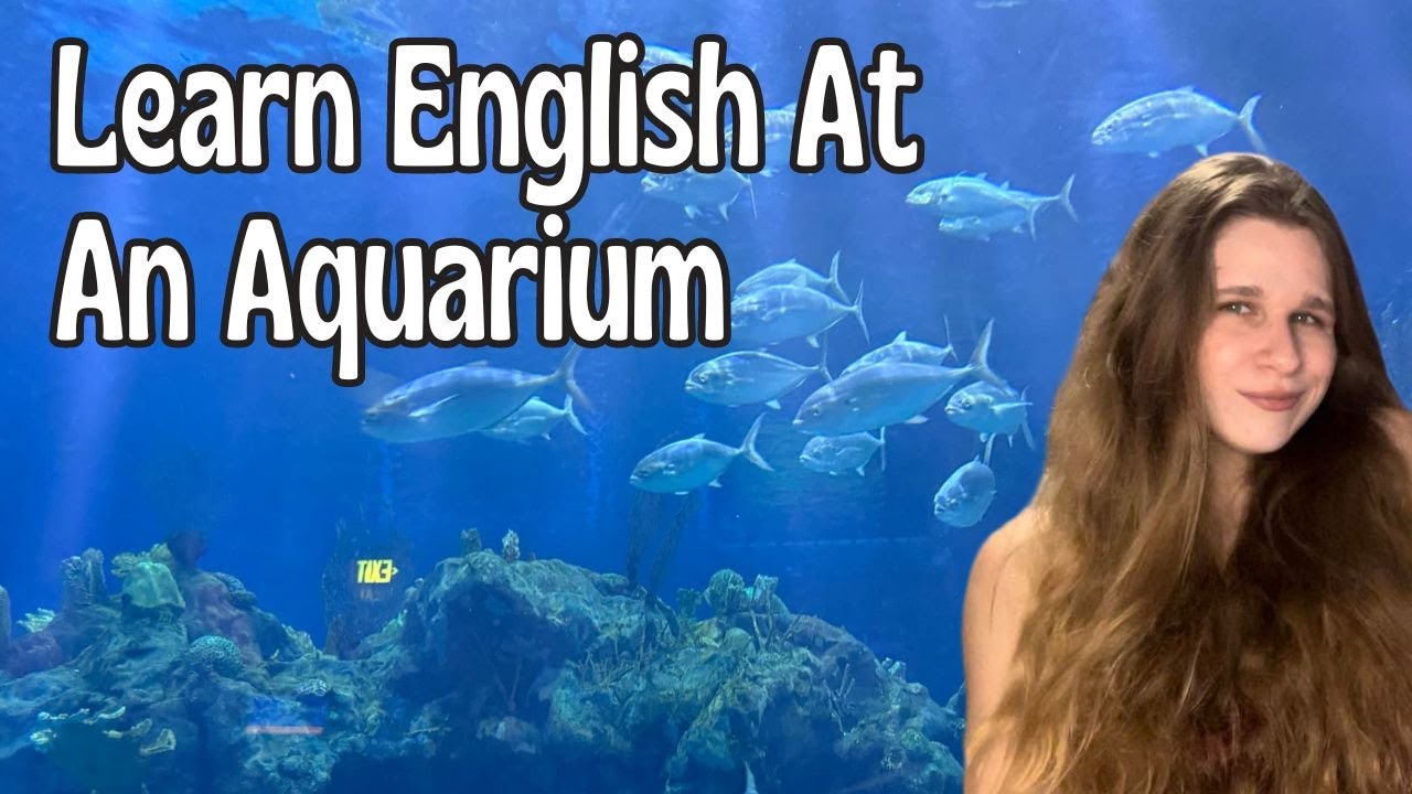 Learn English for Marine Life and Aquarium Adventures - YouTube