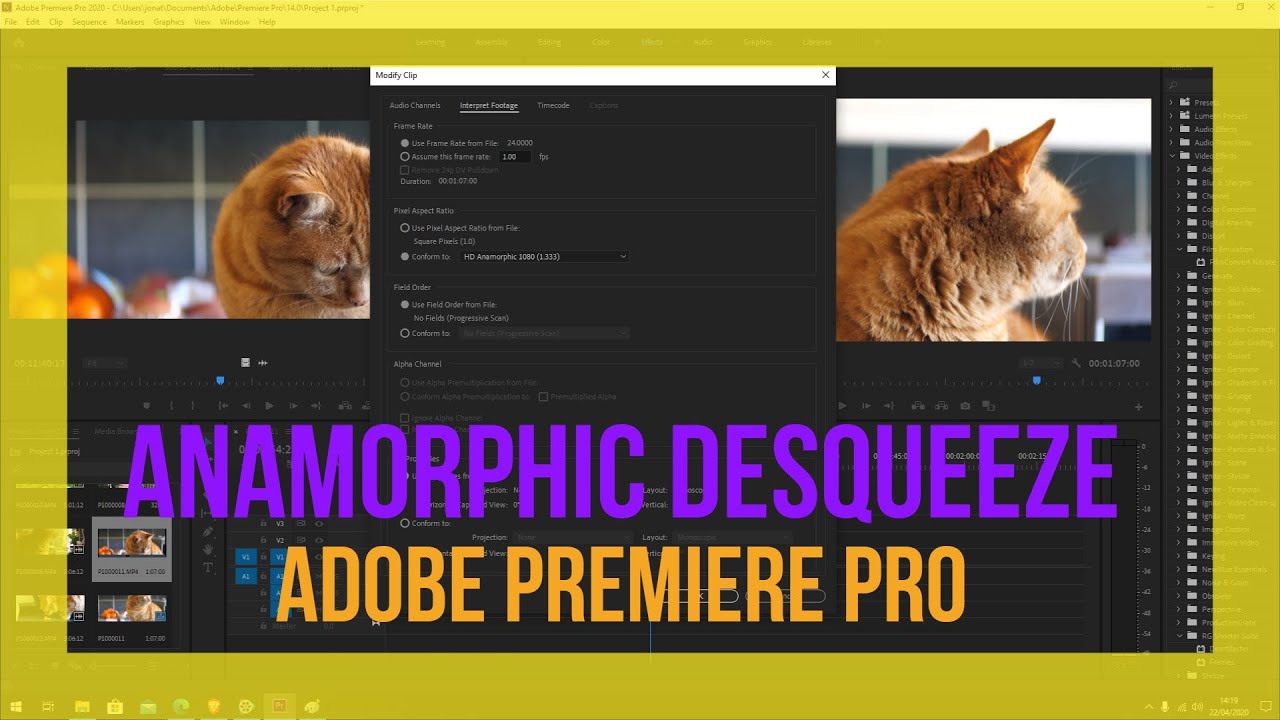 Anamorphic Desqueeze Adobe Premiere, How to interpret Anamorphic ...