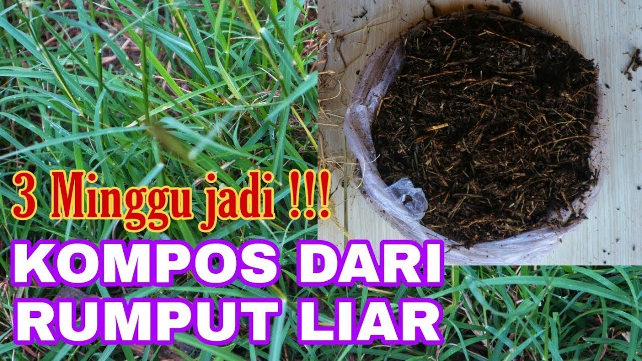 Cara mudah mengolah rumput jadi pupuk kompas#pupuk kompos#cara buat ...