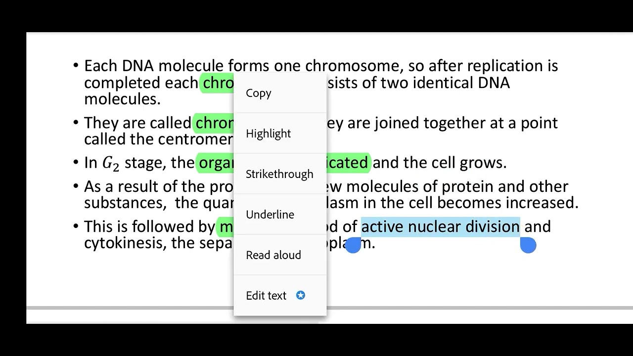 Grade 11 Biology Myanmar, Chapter 5, The Cell Cycle - YouTube