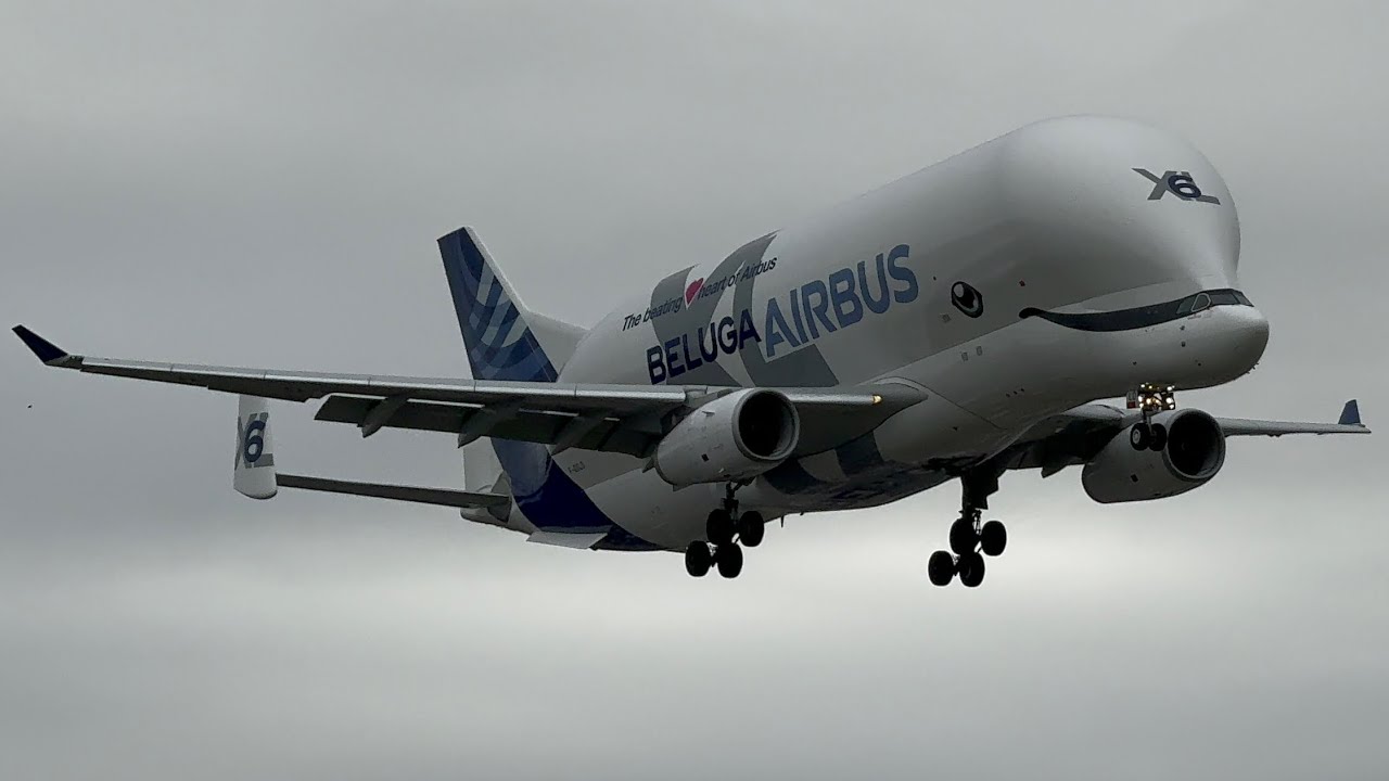 Breathtaking Airbus Beluga XL A330 First Ever Landing at London ...
