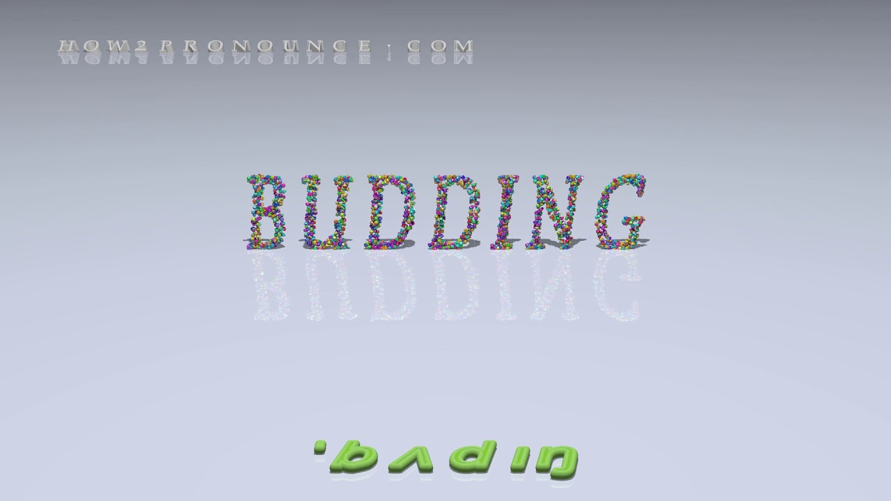 budding - pronunciation + Examples in sentences and phrases - YouTube