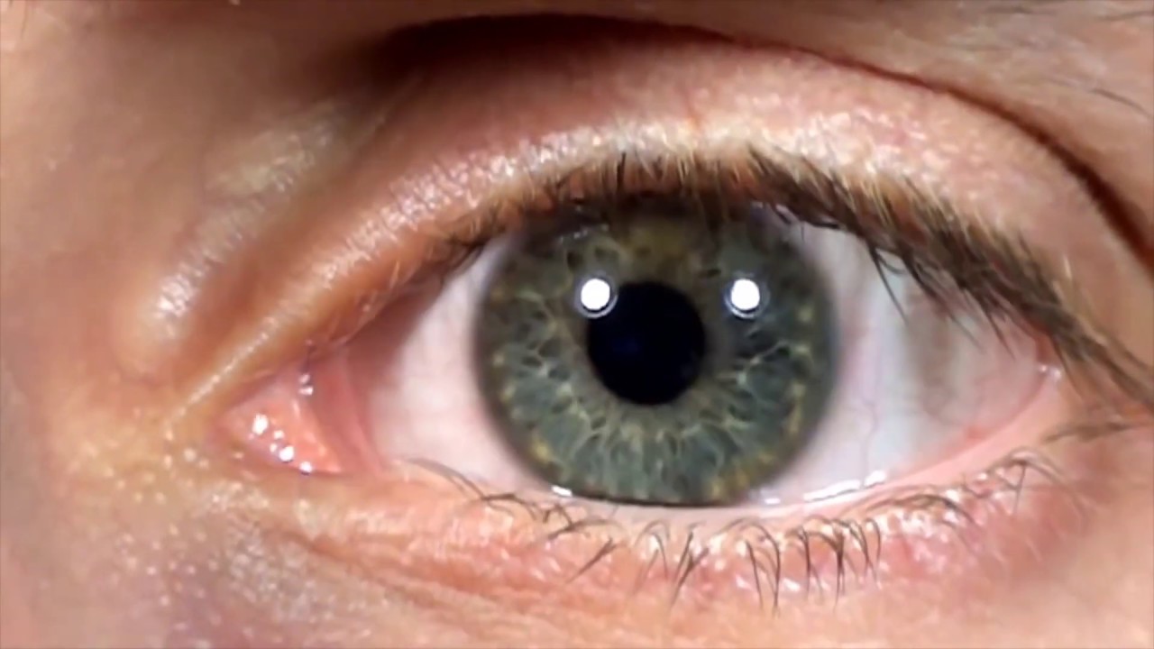 Saccadic Masking and how this affects drivers & road safety - YouTube