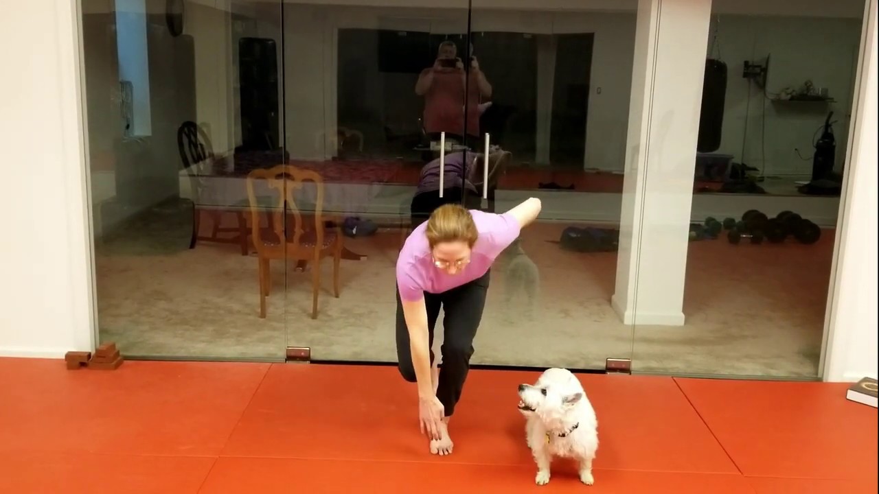 Single Leg Squat Touchdown - YouTube