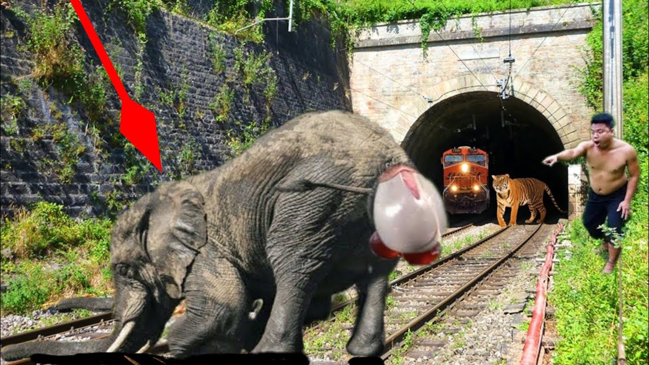 Sleeping Elephant vs Train | Stops the train | BeamNG.Drive | Train ...