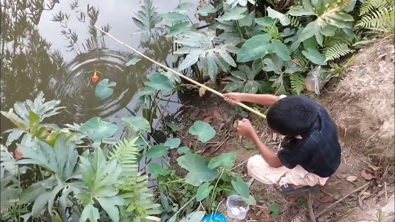 Amazing Fishing Video🎣🐟Traditional Hook Fishing in Village || Small Boy Fishing With Hook - YouTube