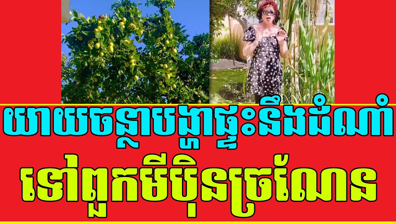 Chantha Hem live show protesters Jealous - YouTube