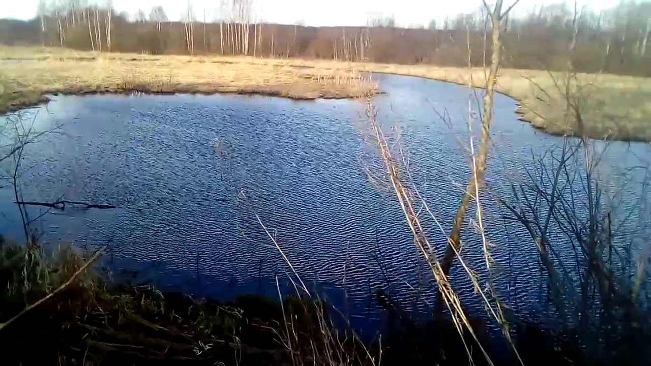 Not far from home. Our little river. April 2020 - YouTube