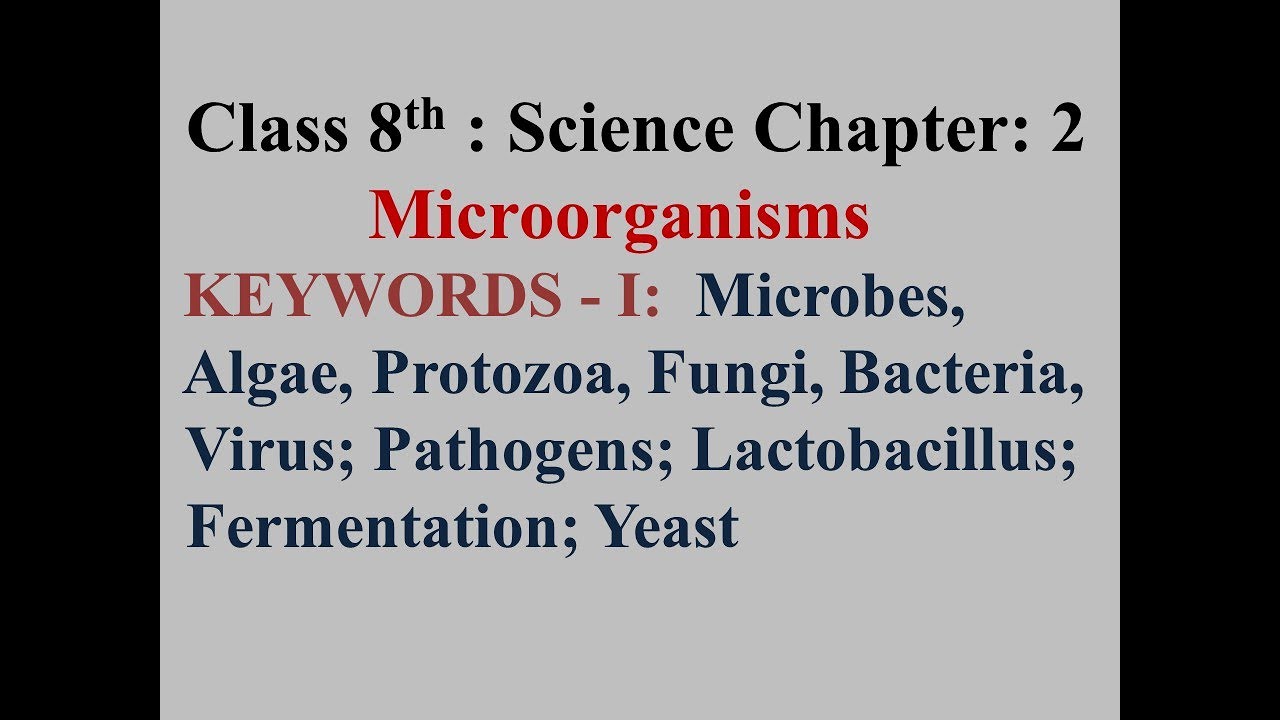 8th Class Science Chapter 2 Microorganisms KEYWORDS - I - YouTube