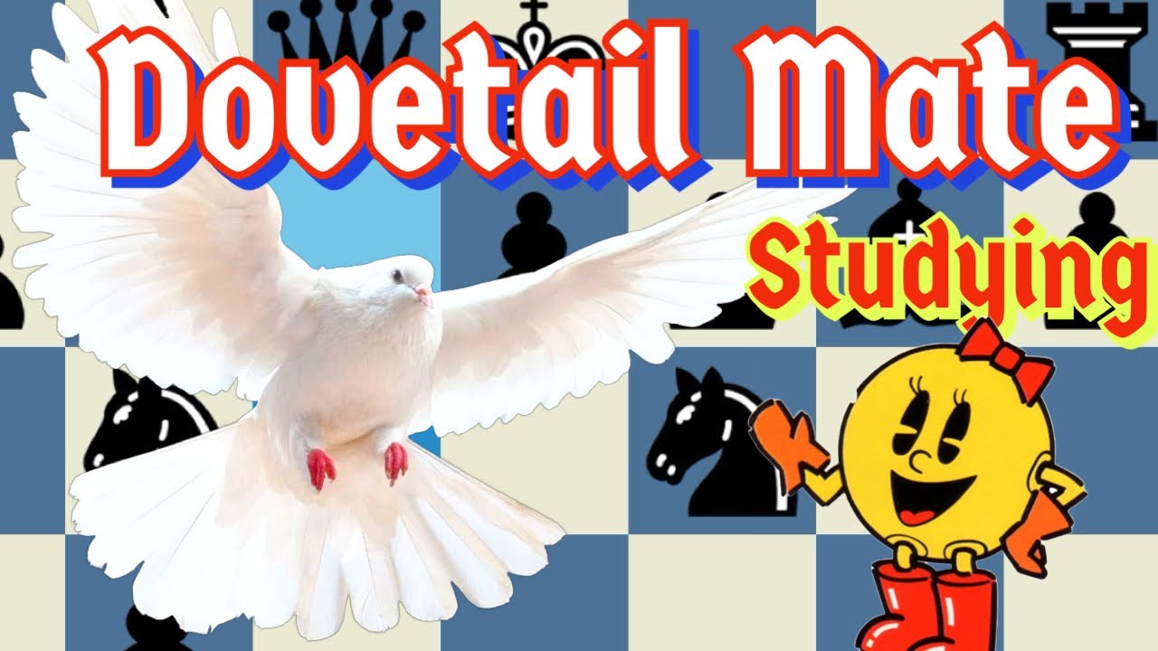 Dovetail Mate / Ms Pacman Mate Part 1 - Chess with Bill / # ...