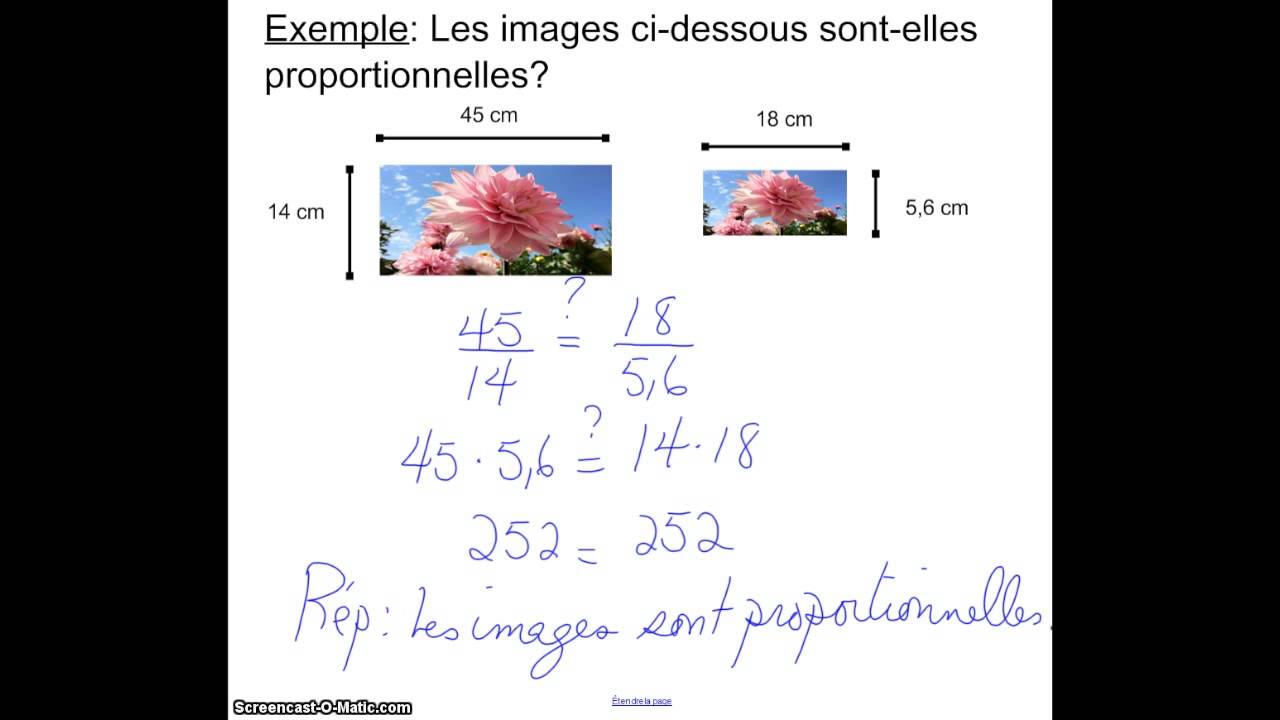 MATHS - Raisonnement proportionnel 2 (proportions) - YouTube