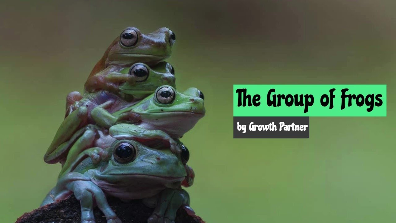 The Group of Frogs - YouTube
