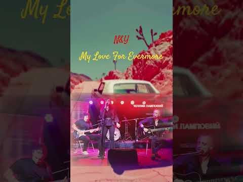 My Love For Evermore rockabilly song by Hillbilly Moon Explosion - acoustic cover by N&Y band