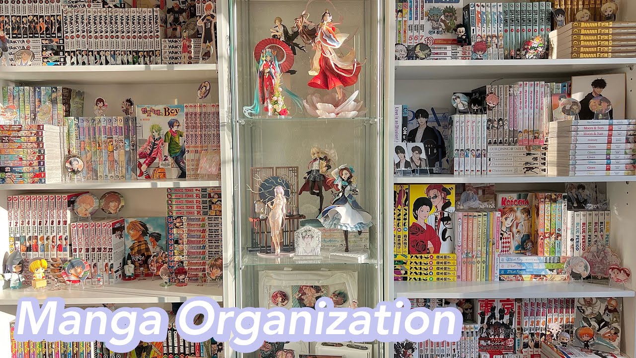 Organizing My Manga Collection 🎏 - YouTube