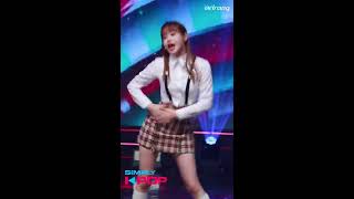 Simply Kpop | Team Subbits