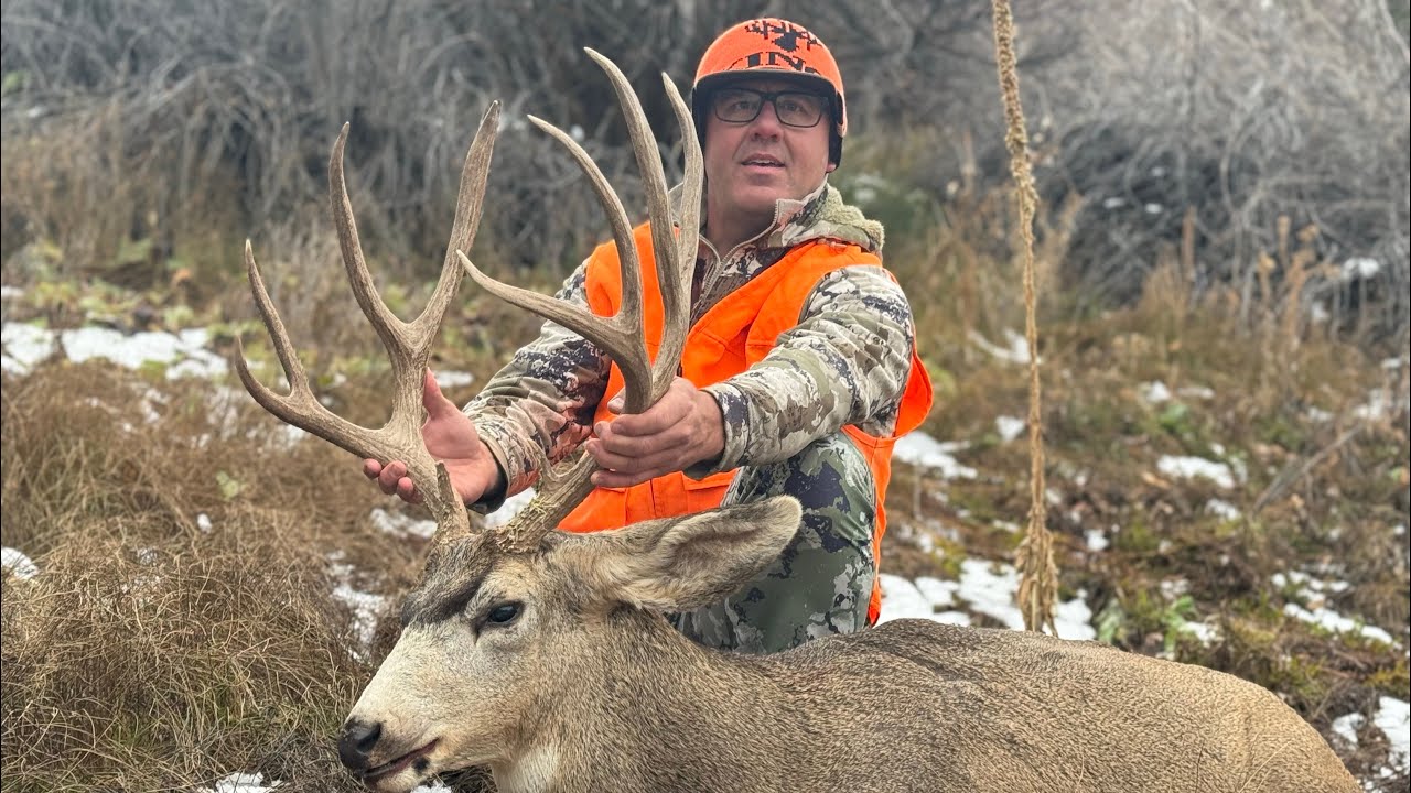 Colorado 3rd Rifle Season 2024 Part 1! Muleys and Elk! My biggest buck ...