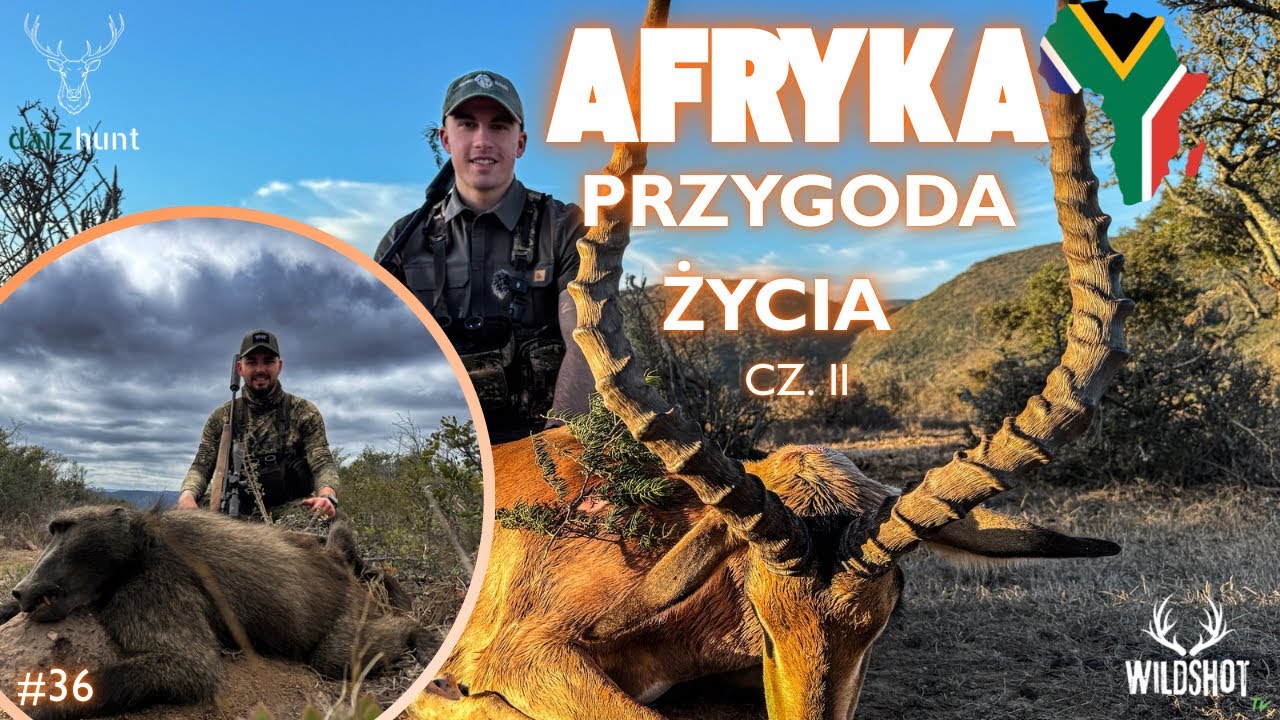 #36 Polowanie w RPA na Pawiana i byka Impali/Hunting in South Africa ...