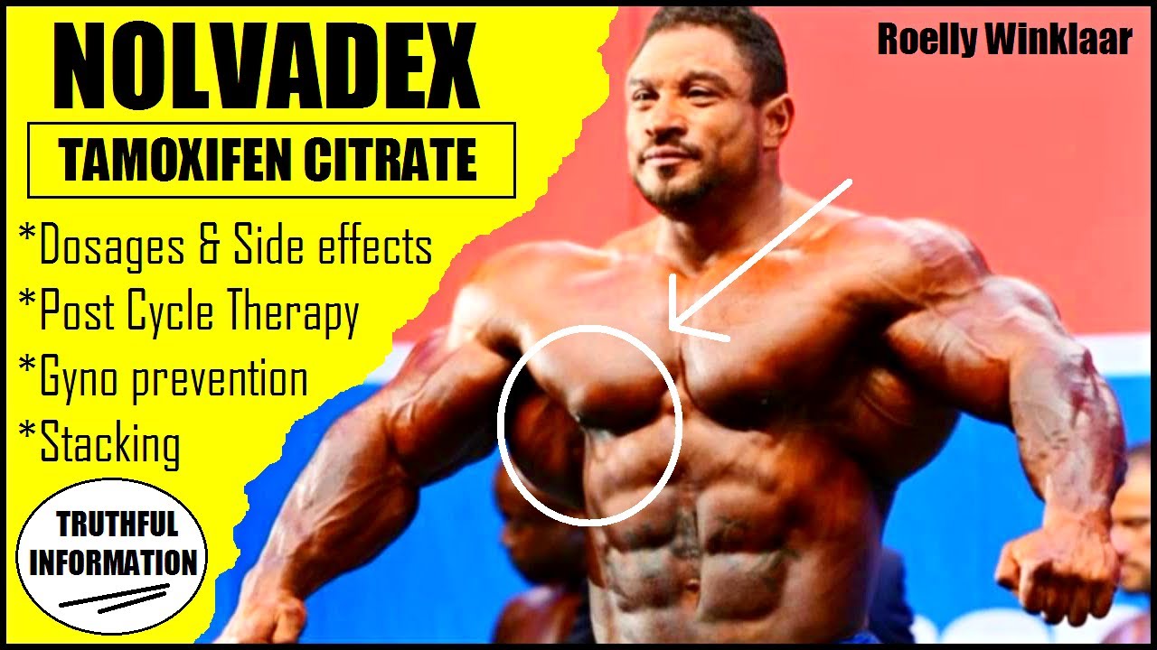 🔹Anti-Estrogens l Nolvadex (Tamoxifen Citrate) Explained l Post Cycle ...