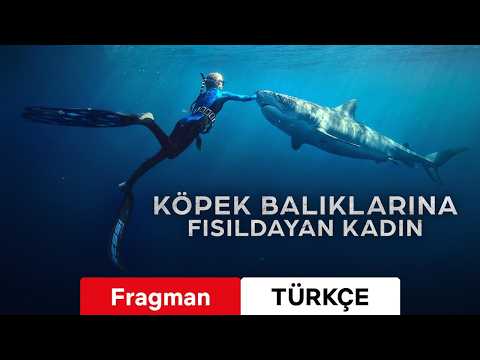 Köpek Balıklarına Fısıldayan Kadın :: Fragman Netflix :: İzle ya da Geç?