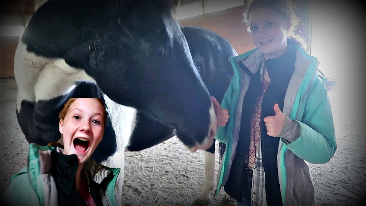 5 CRAZY BARN HACKS YOU DON'T WANT TO MISS - YouTube