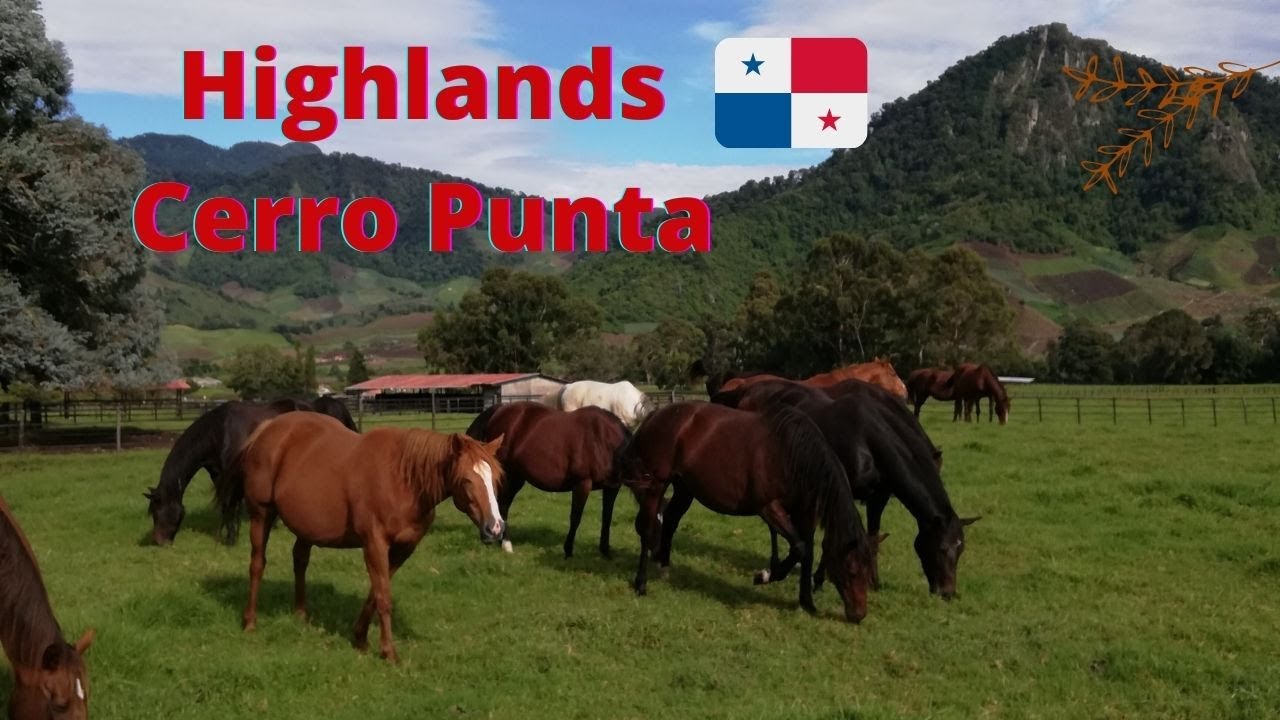 Panama Highlands🗻⛰️ - Cerro Punta | visitpanama - YouTube